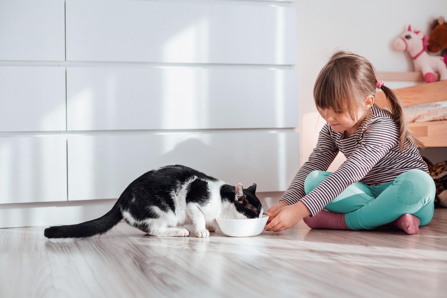 Umgang mit Haustieren: Tipps für Kinder von 5 bis 5 ½ Jahren | OUUPS!